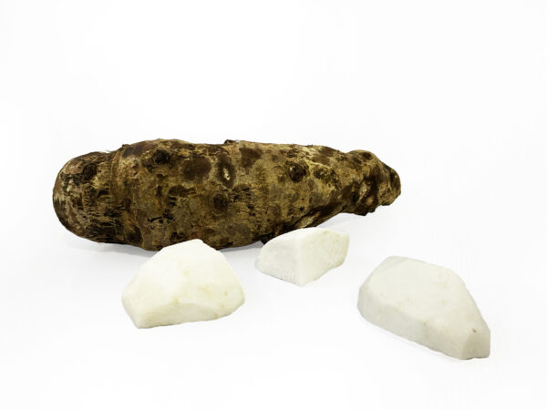 Malanga en trozos – Congelados MH